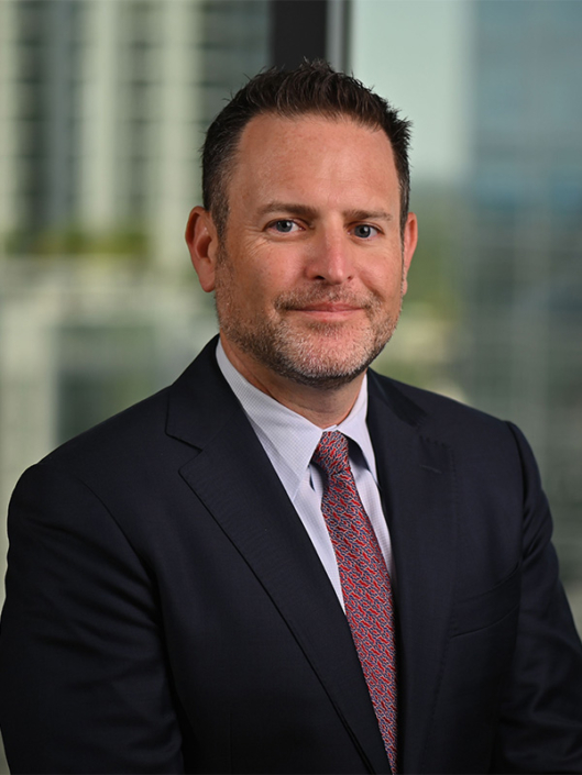 Neil Schiller - Government and Municipal Law Experts