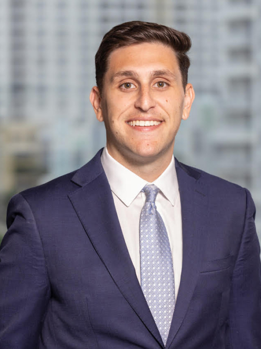 Andrew J. Ingber - Government and Municipal Law Experts